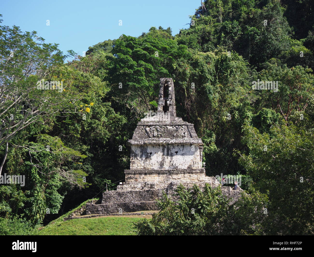 Top of temple of the Cross pyramid at ancient mayan National Park of ...