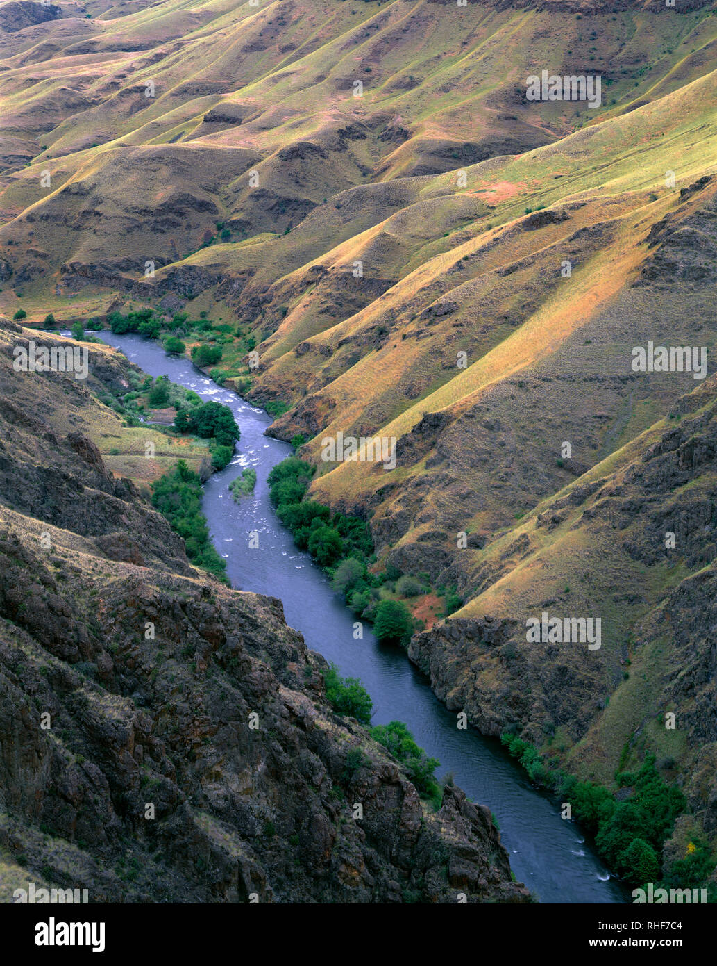 USA, Oregon, Hells Canyon National Recreation Area, The lower section of the Imnaha River, a ...