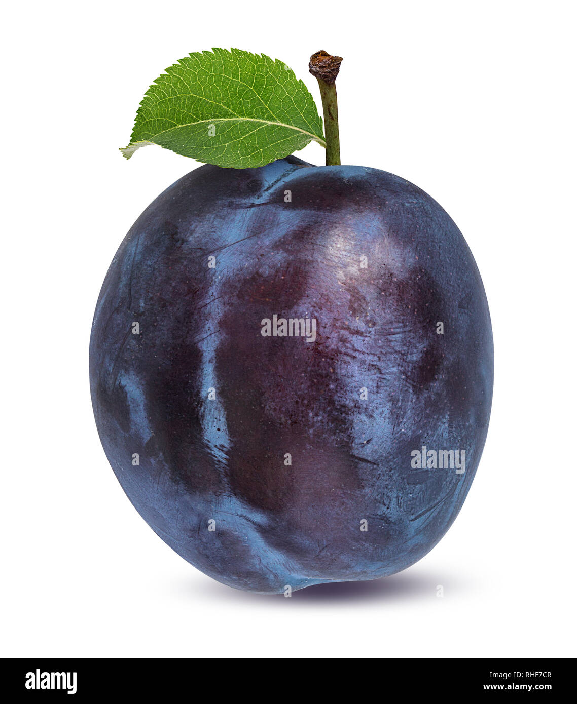 plum on a white background Stock Photo - Alamy