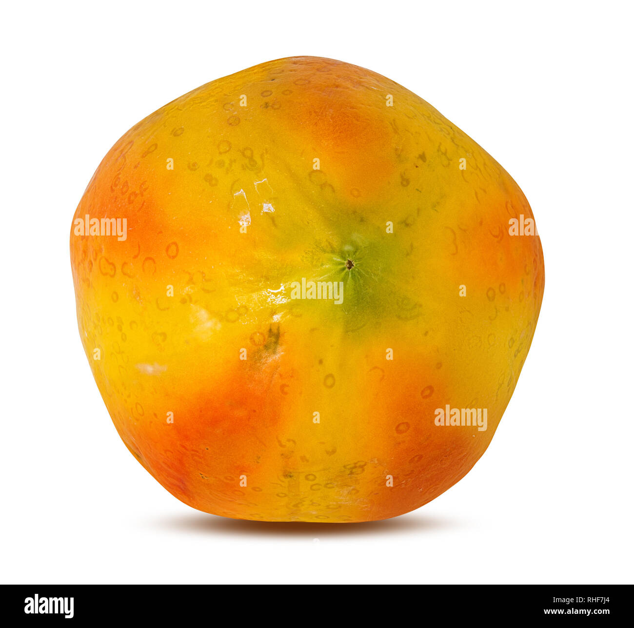 papaya isolated on a white background Stock Photo - Alamy