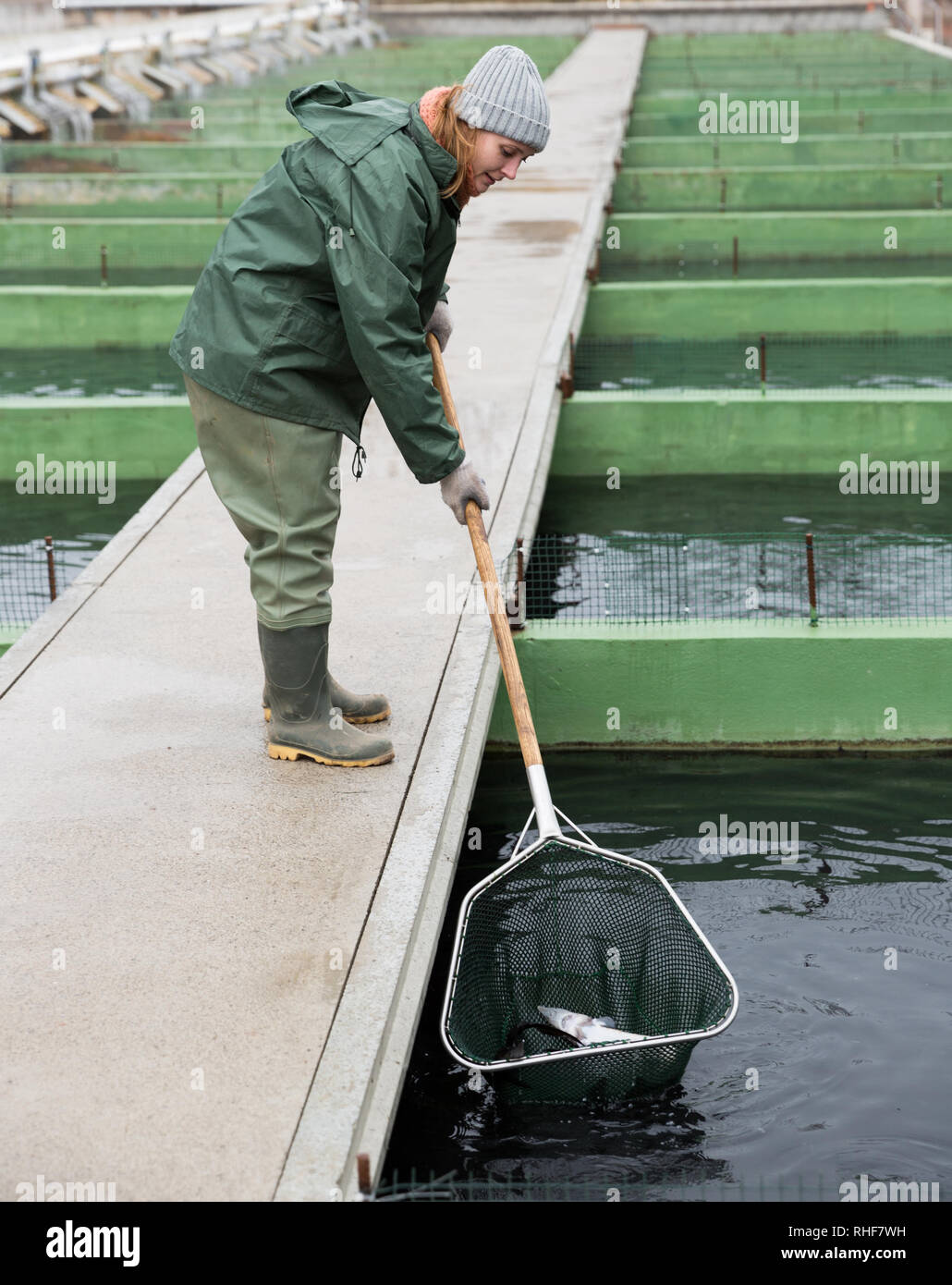 Sturgeon Landing High Resolution Stock Photography and Images - Alamy