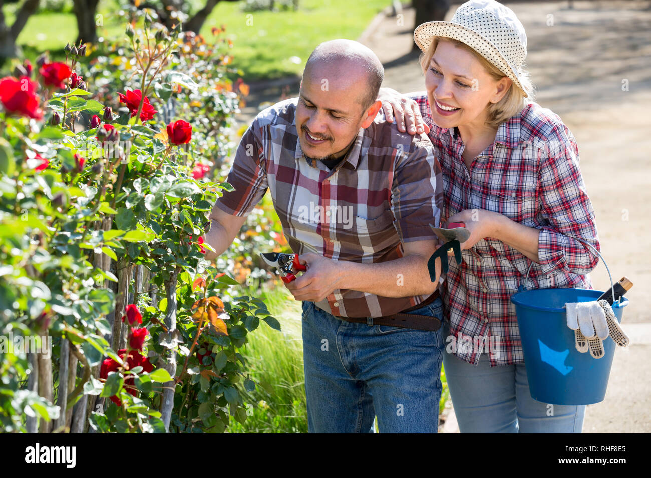 Senior florist roses hi-res stock photography and images - Alamy