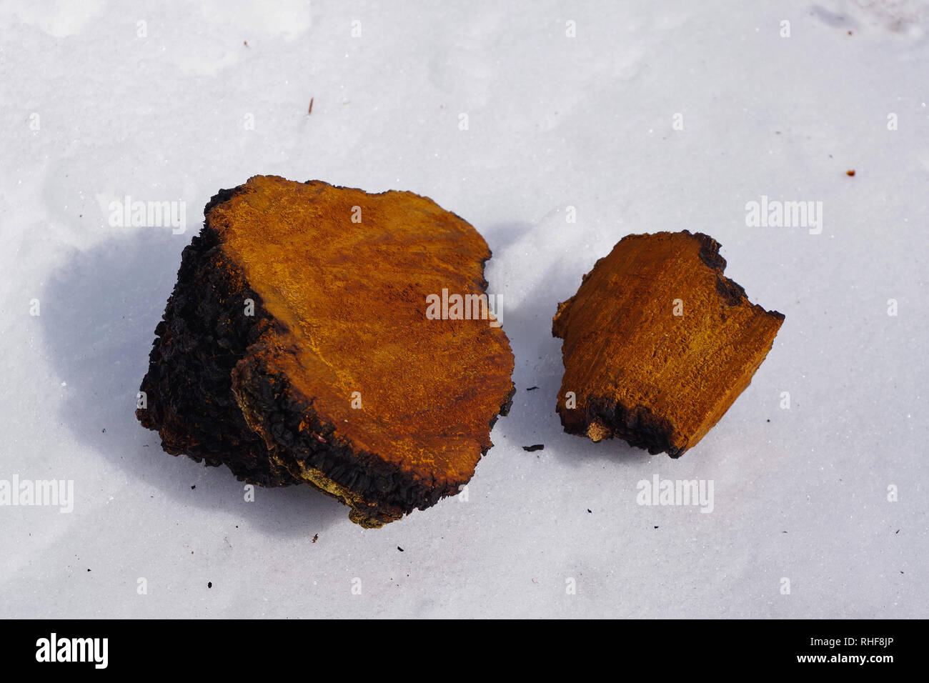 Chaga chunks hi-res stock photography and images - Alamy