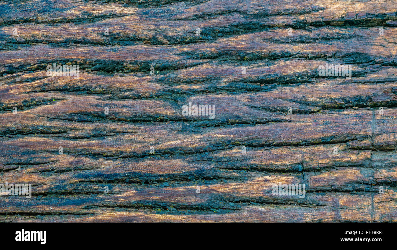 grainy wood texture background. natural abstract texture background ...