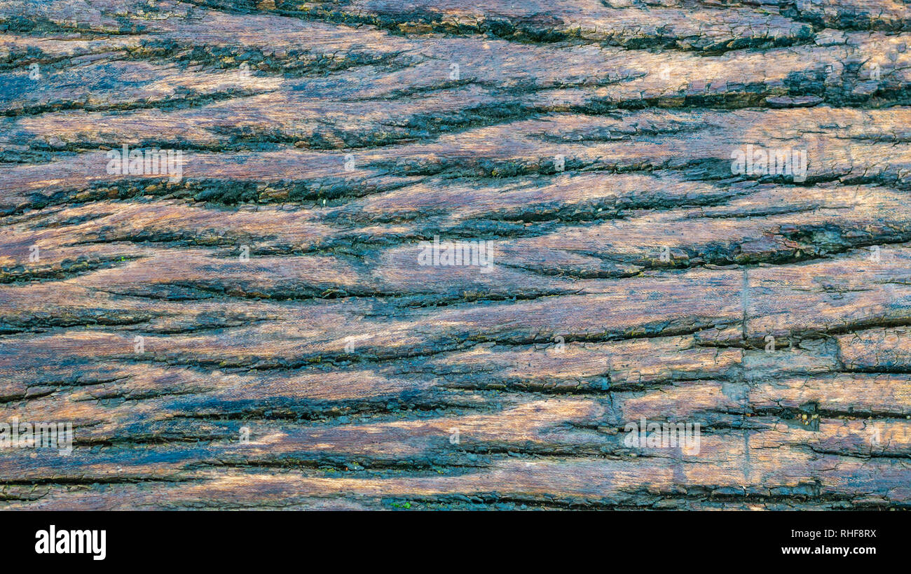 grainy wood texture background. natural abstract texture background ...