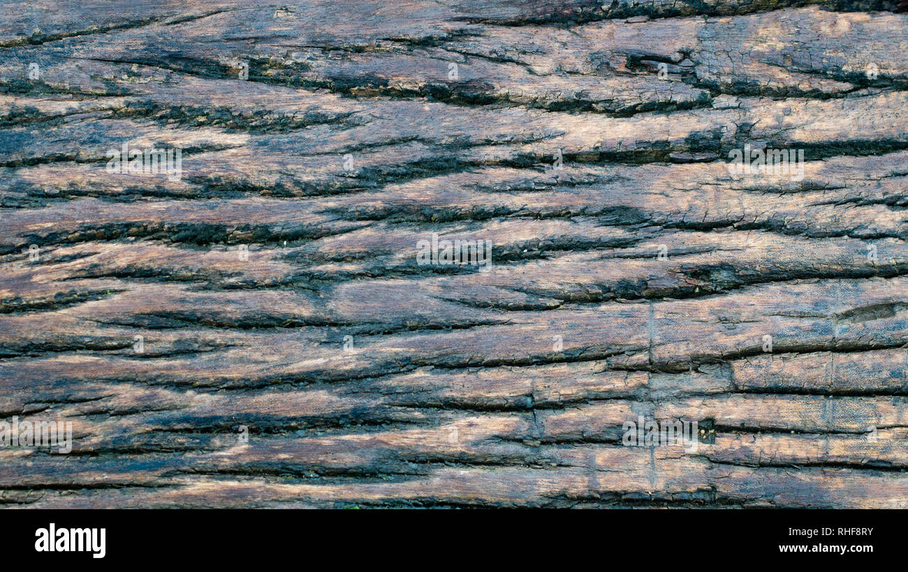grainy wood texture background. natural abstract texture background ...