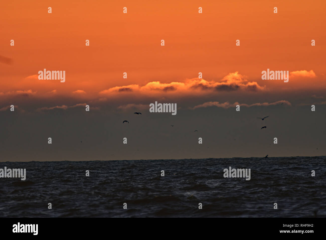 Golden sky over pacific hi-res stock photography and images - Alamy