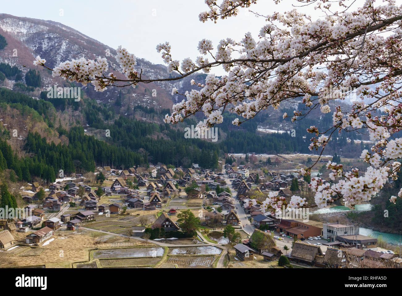 Ogimachi village of Shirakawa-go, during cherry blossom season, Japan ...
