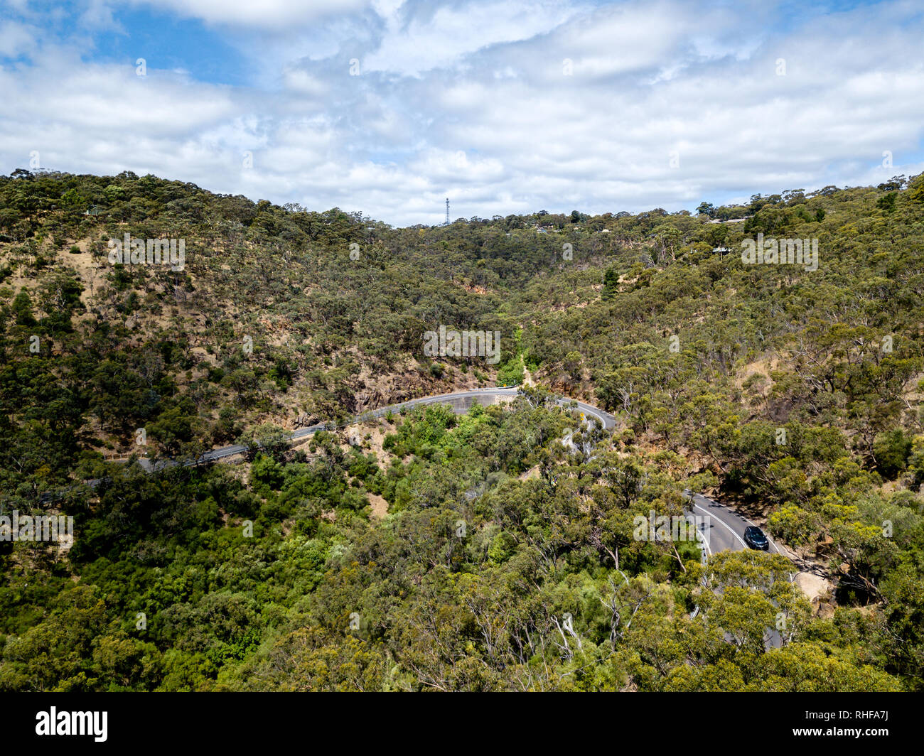 winding road through Belair Forest, Adelaide Australia Stock Photo - Alamy