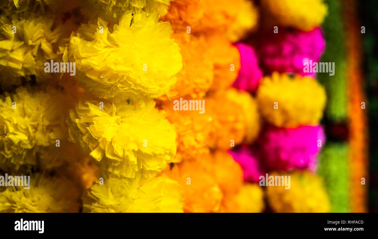 Indian traditional wedding in temple hi-res stock photography and ...