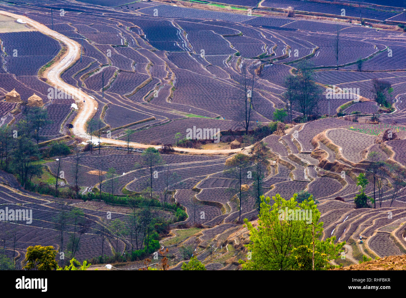 Rural farm field road landscape. Farm land road view. Country road farm ...