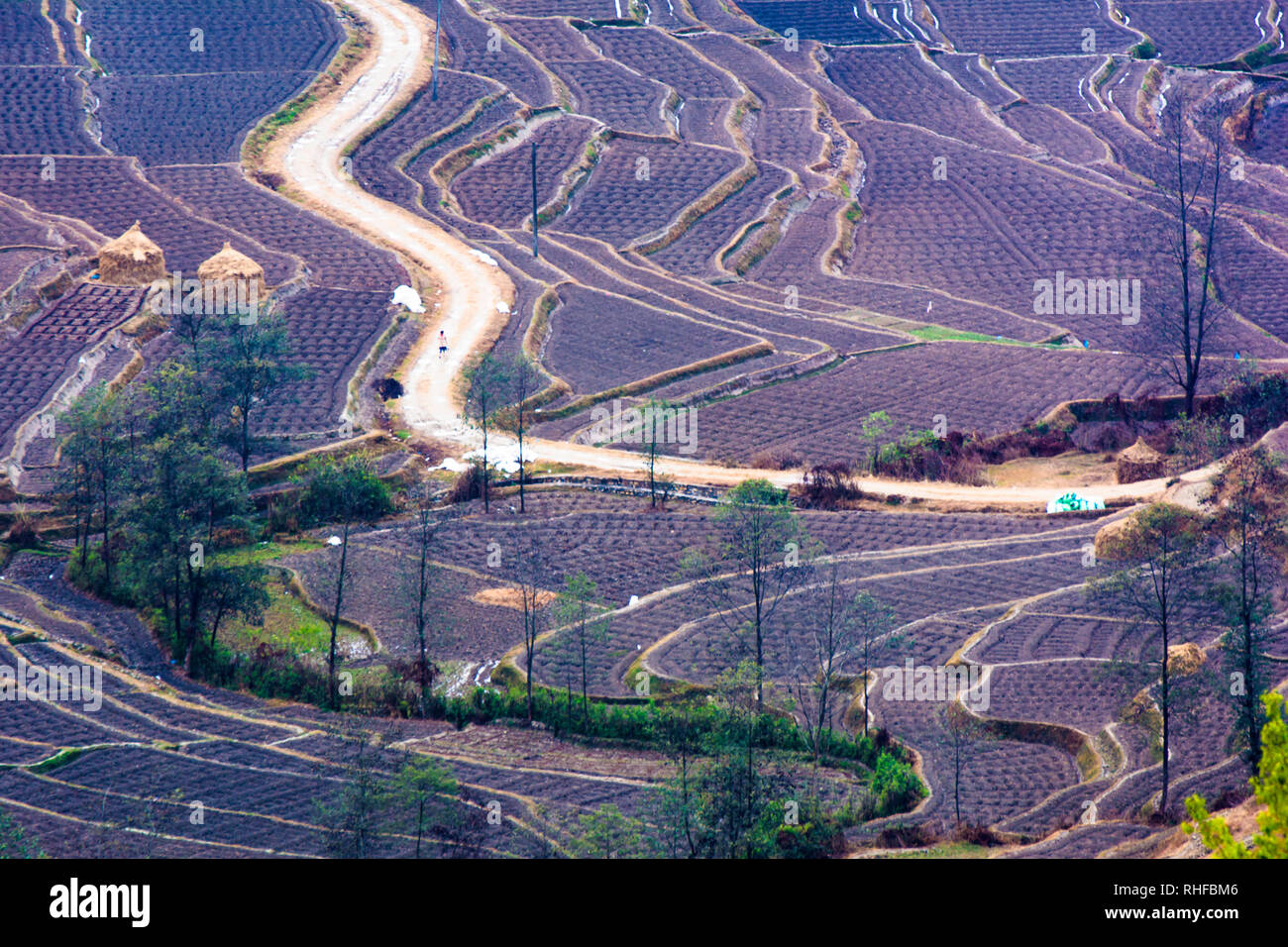 Rural farm field road landscape. Farm land road view. Country road farm ...