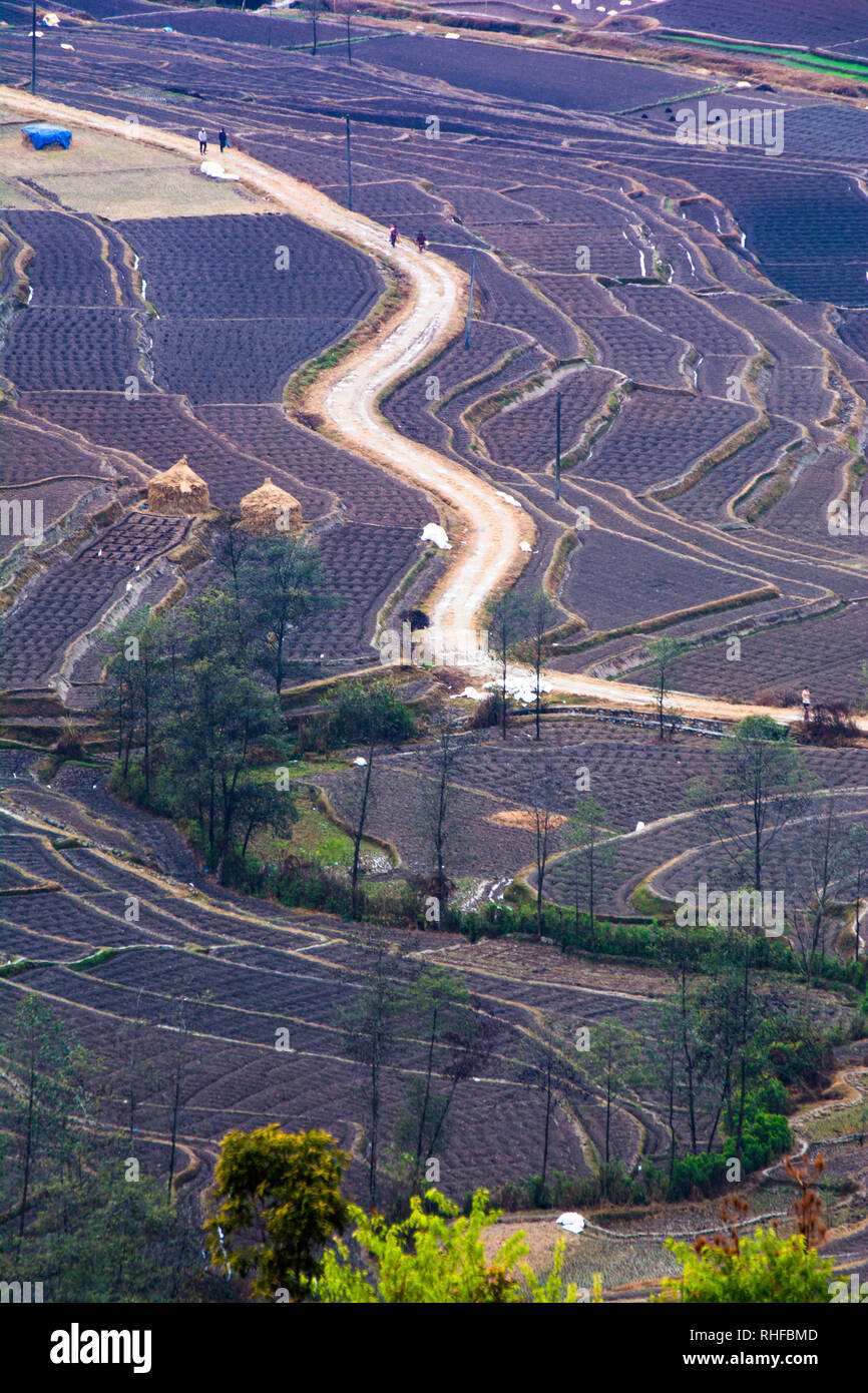 Rural farm field road landscape. Farm land road view. Country road farm ...