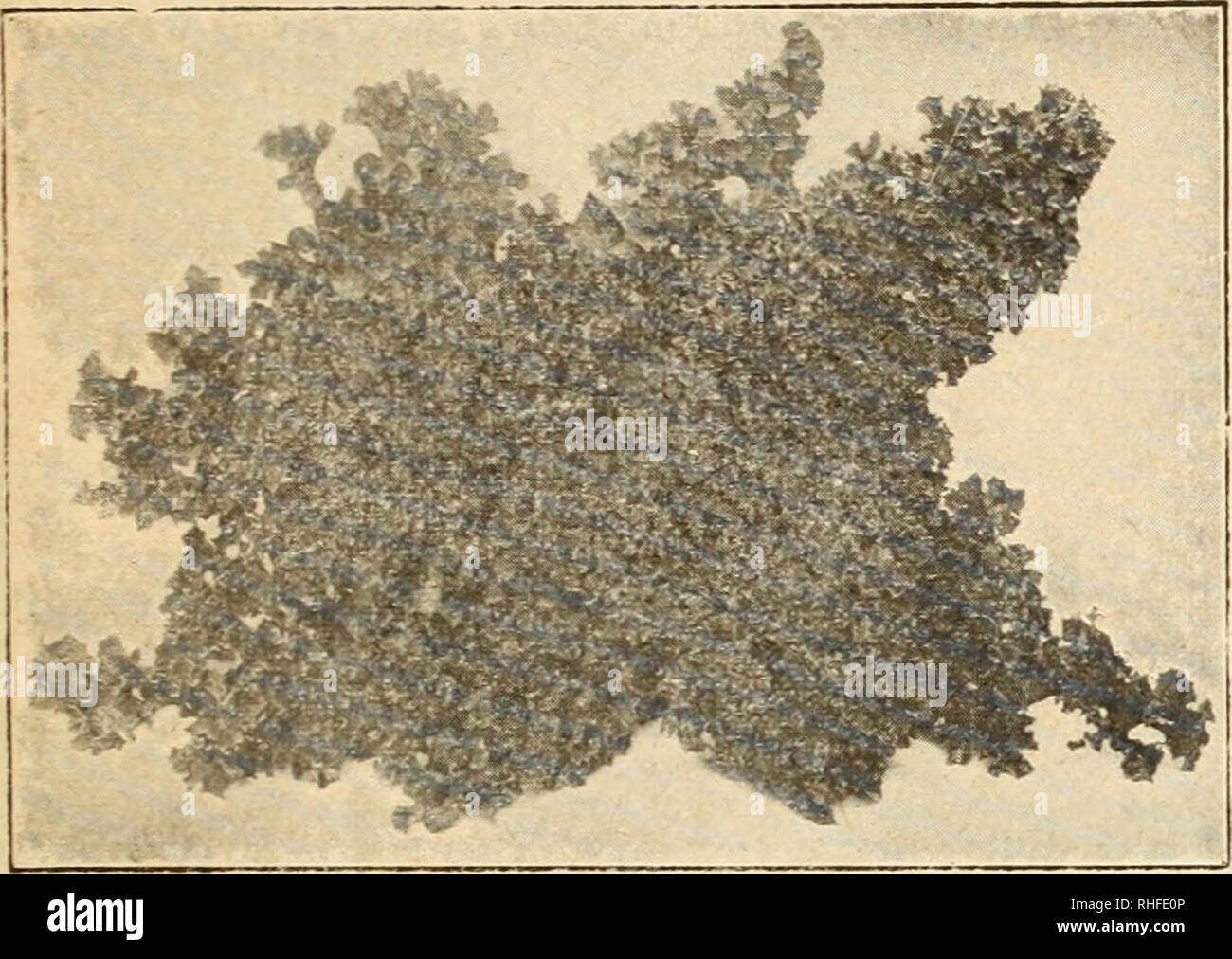 69 feet tall hi-res stock photography and images - Alamy