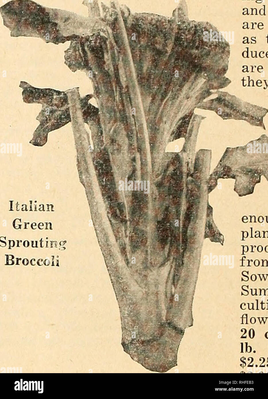 Italian garden produces hi-res stock photography and images - Alamy