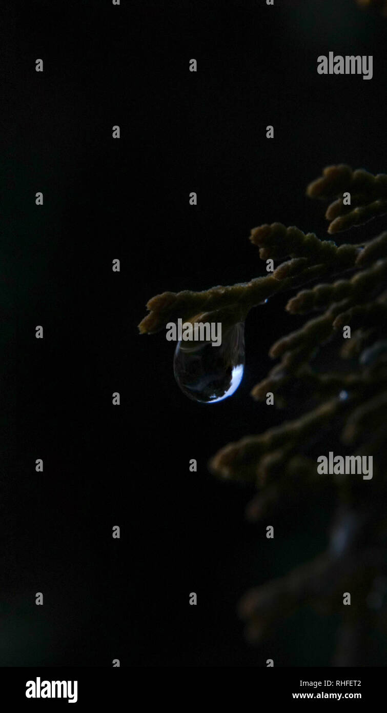 Drops dark hi-res stock photography and images - Alamy