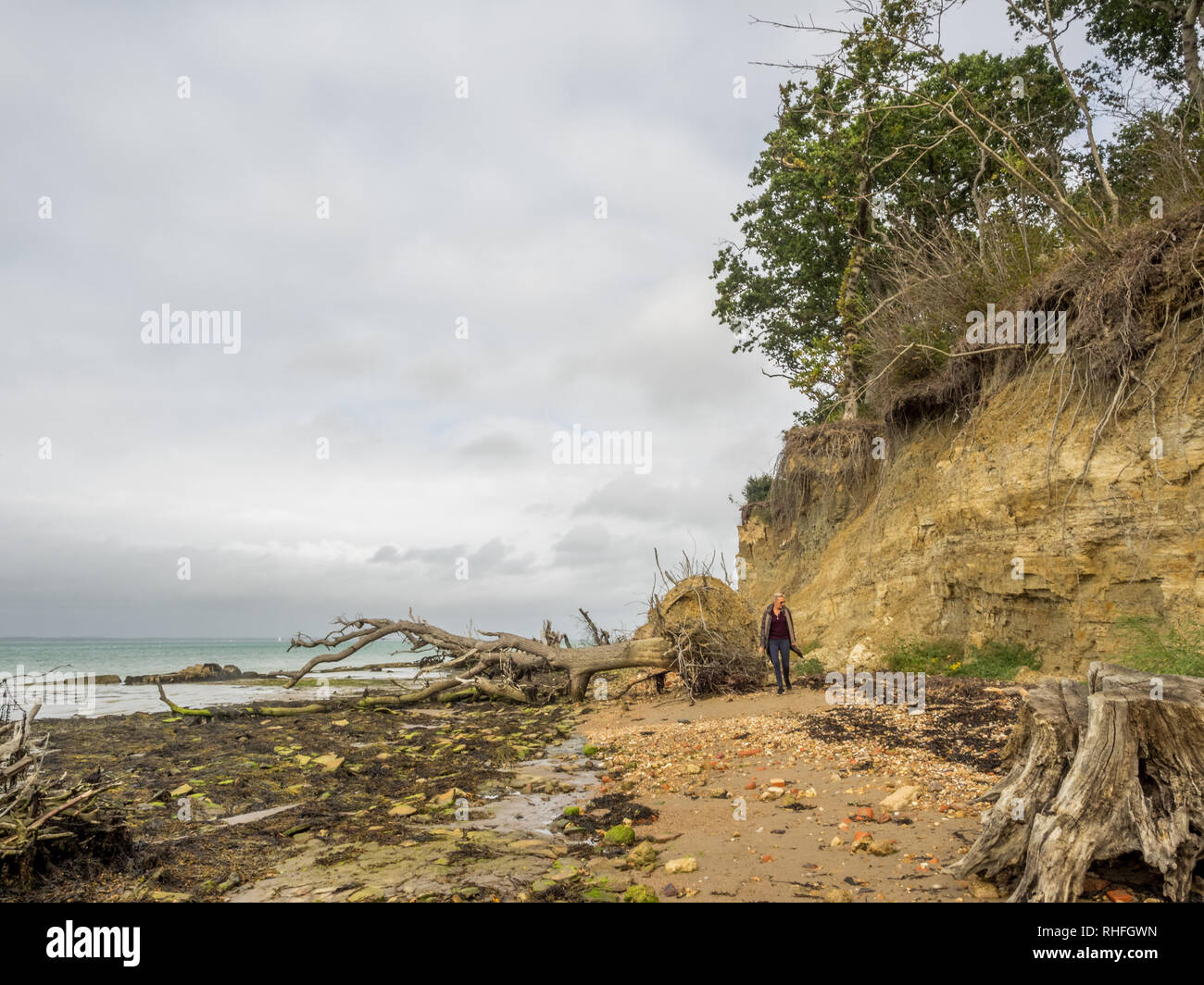 A beach coast seaside with coastal erosion on Solent shores with ...