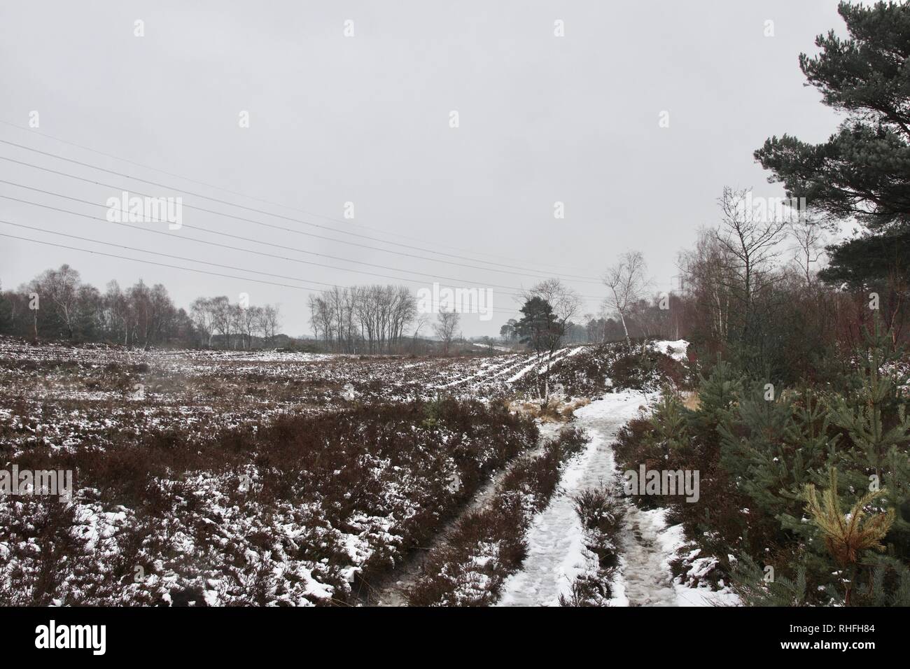 Ice covered footpath over a moor sprinkled with snow. Bare winter trees ...