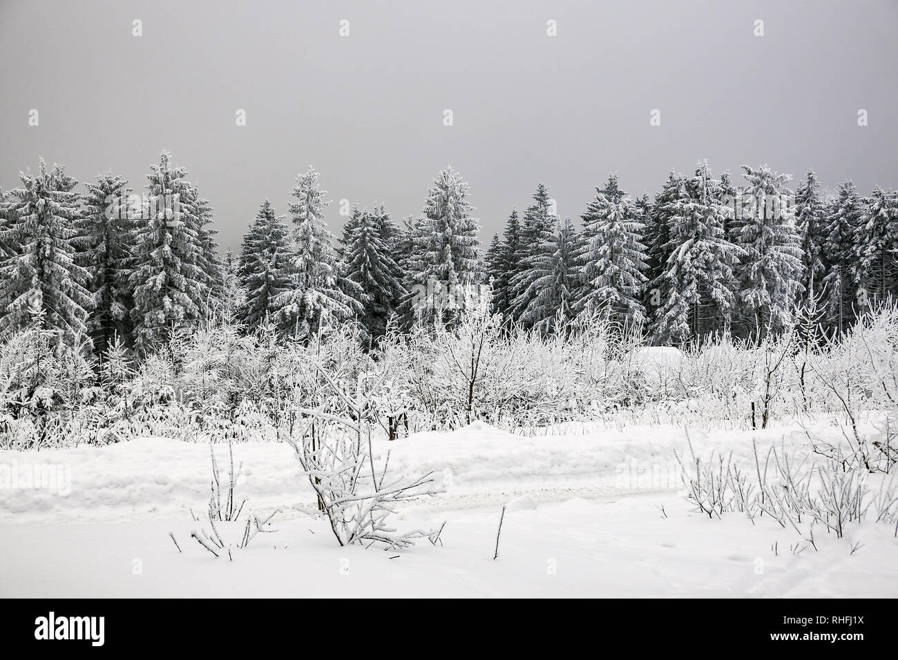 Oberhof thuringia germany hi-res stock photography and images - Alamy
