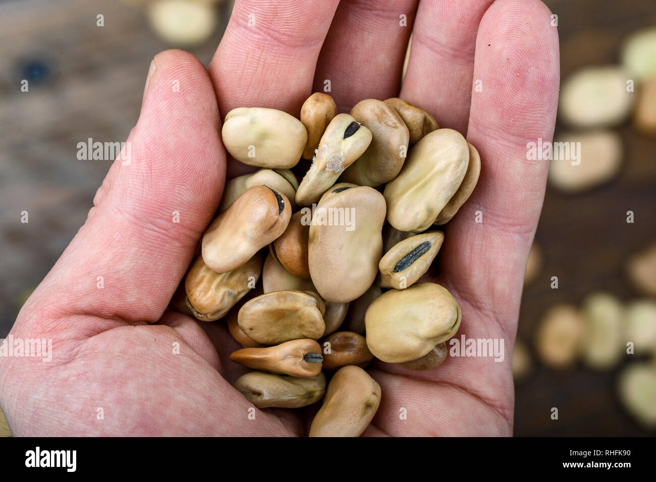 dry beans in hand on wooden background. space for text Stock Photo - Alamy