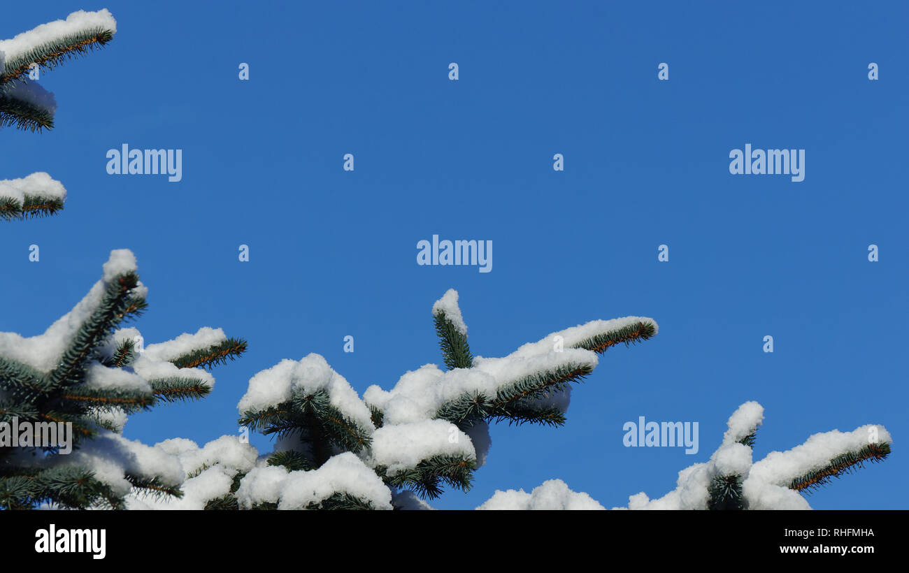 Blue background covered hi-res stock photography and images - Alamy