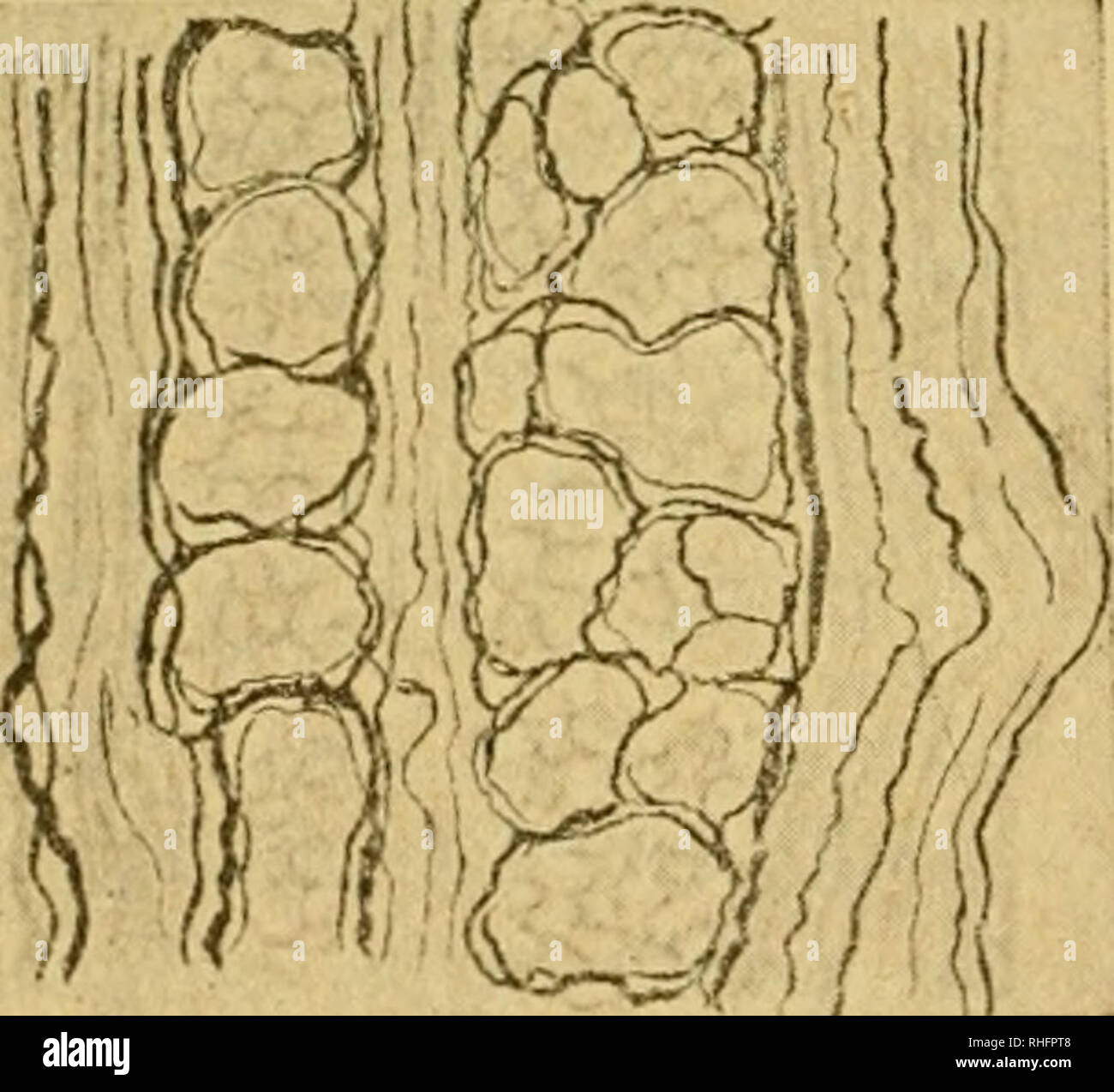 Sociedad del color del agua hi-res stock photography and images - Alamy