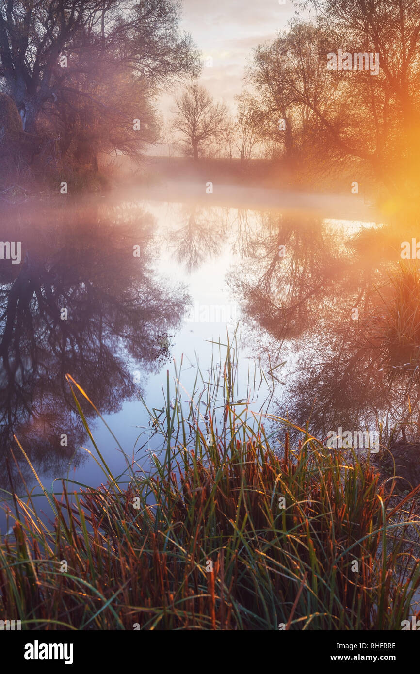 Tranquil early morning river scene hi-res stock photography and images ...