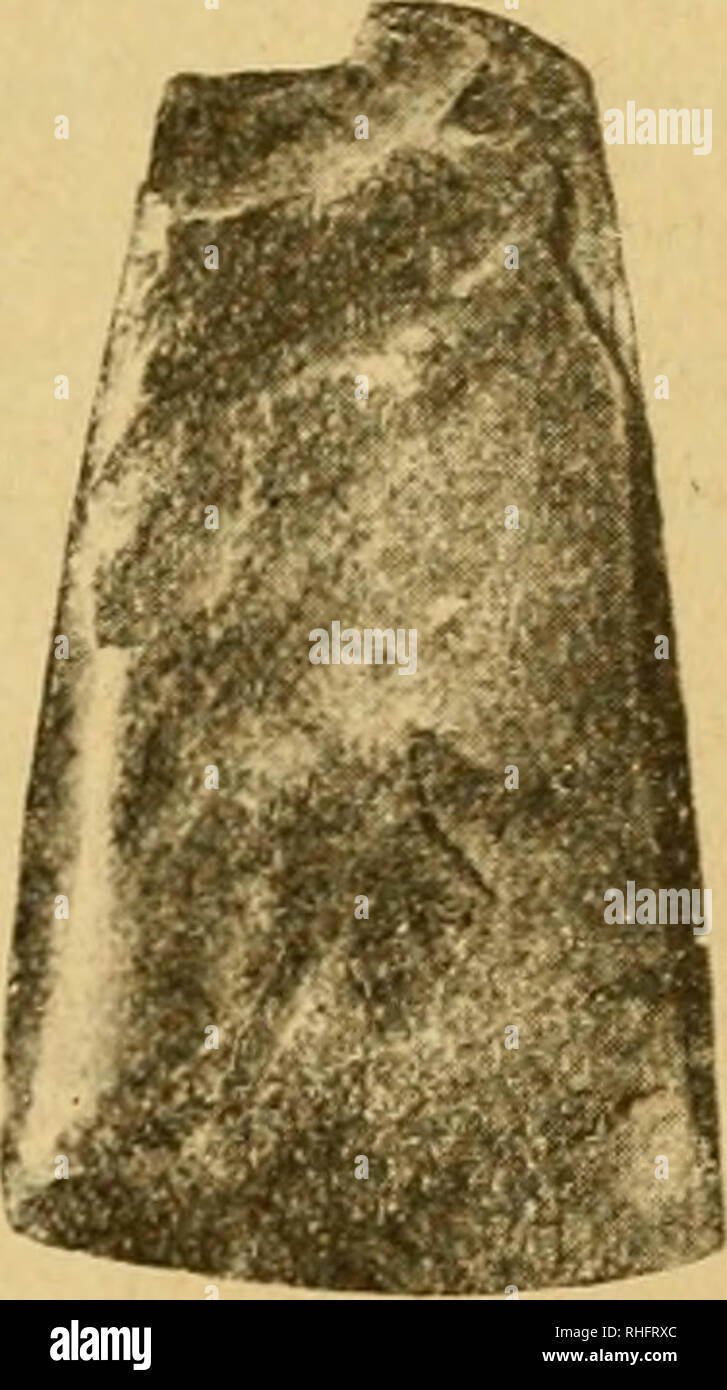 . Boletín de la Sociedad Española de Historia Natural. Natural history ...