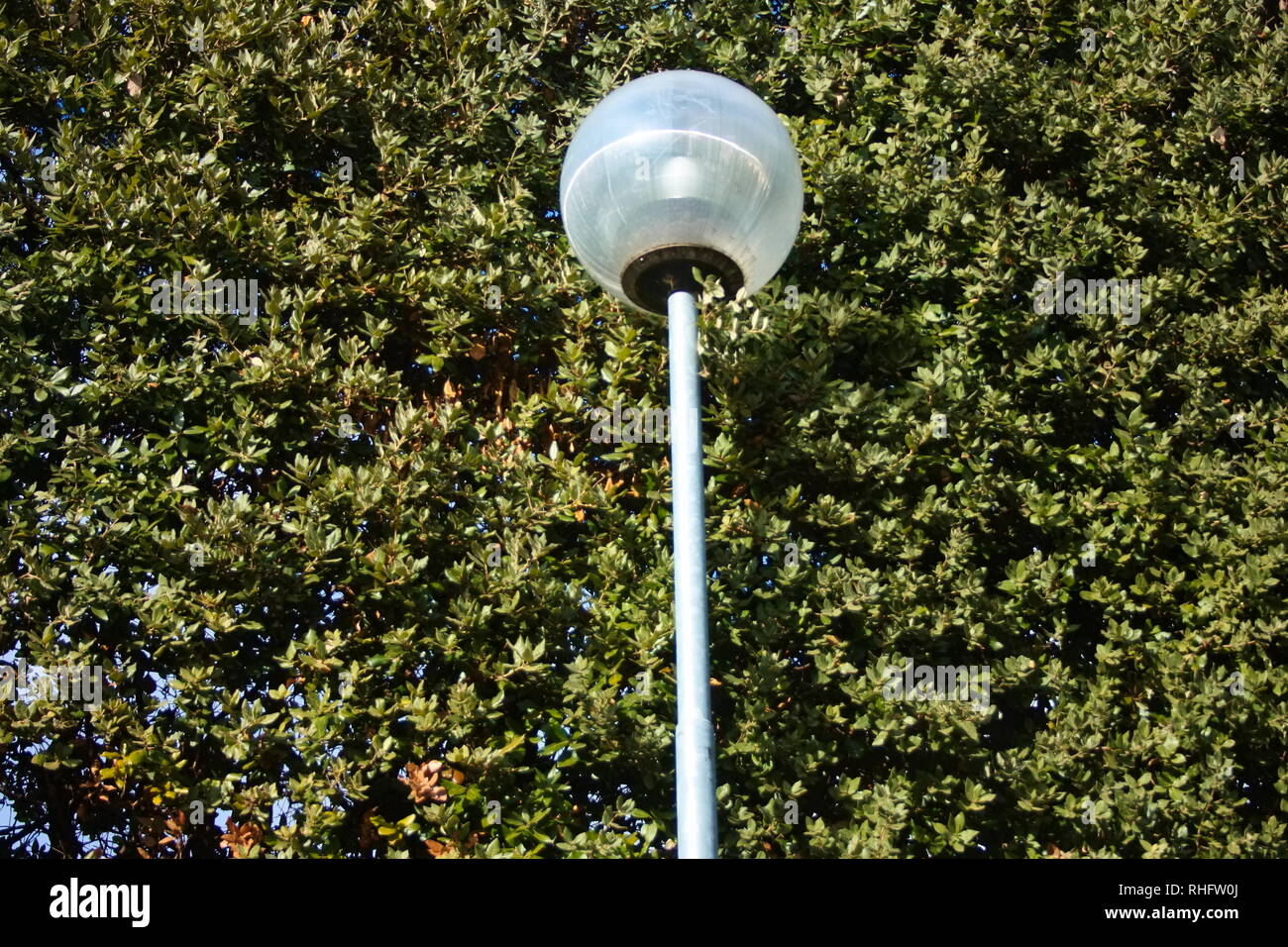 a streetlight in a public park with round glass. a green bush of plants ...