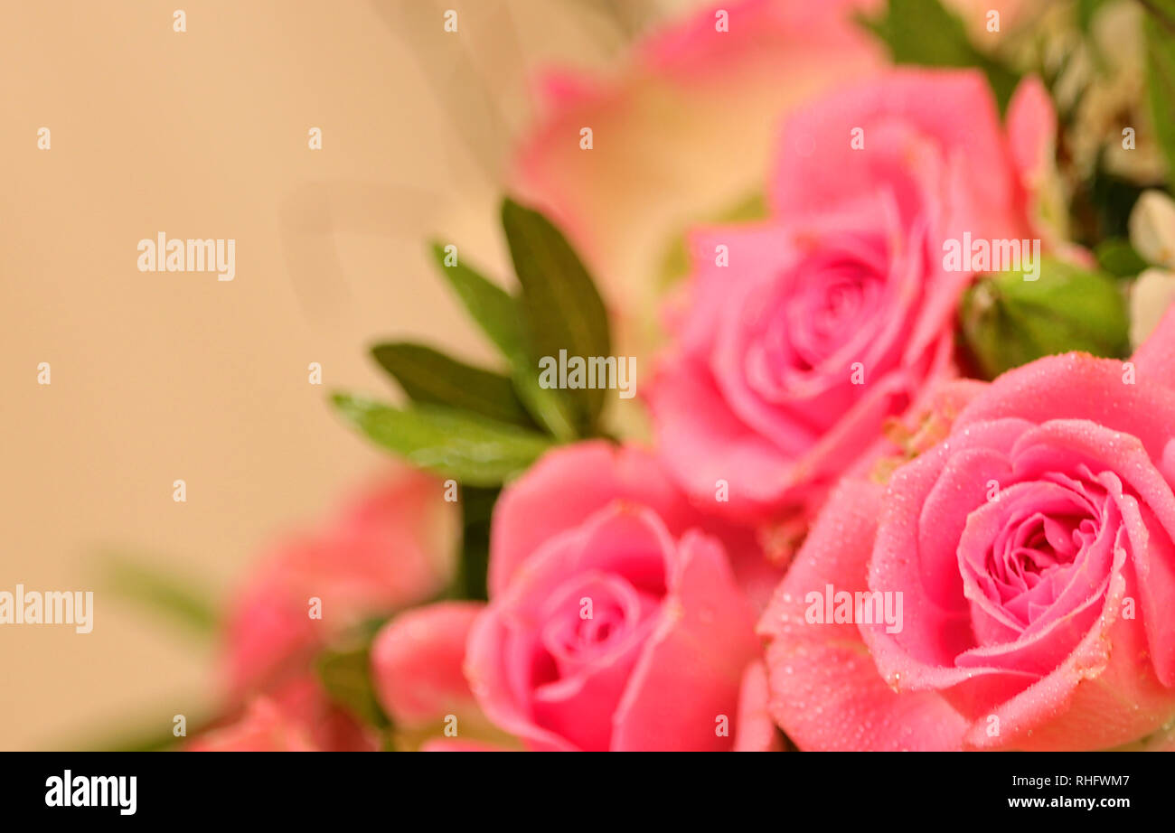 pink romantic rose flower bouquet Stock Photo - Alamy