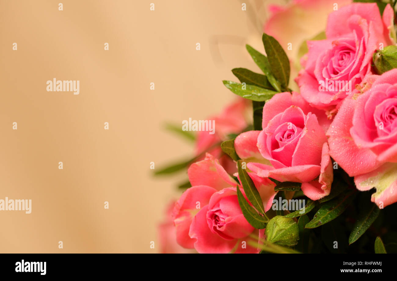 pink romantic rose flower bouquet Stock Photo - Alamy