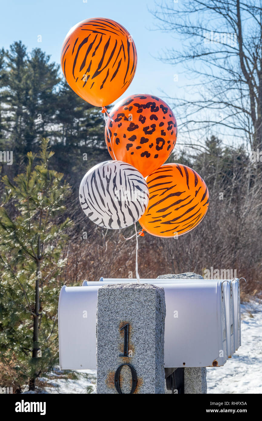 With a few more balloons these mail boxes could be air born and become ...