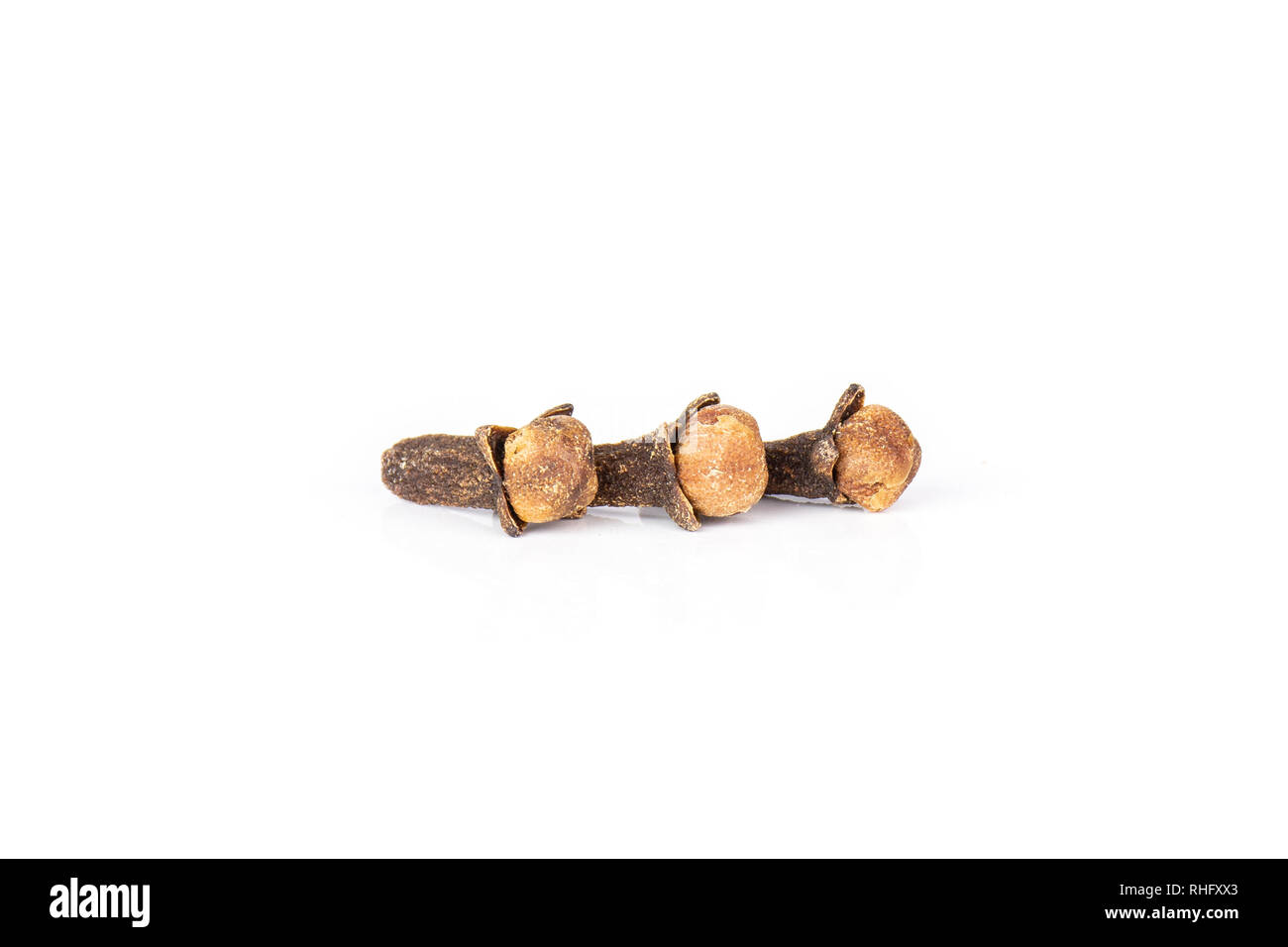 Group of three whole small dried cloves spice in row isolated on white ...