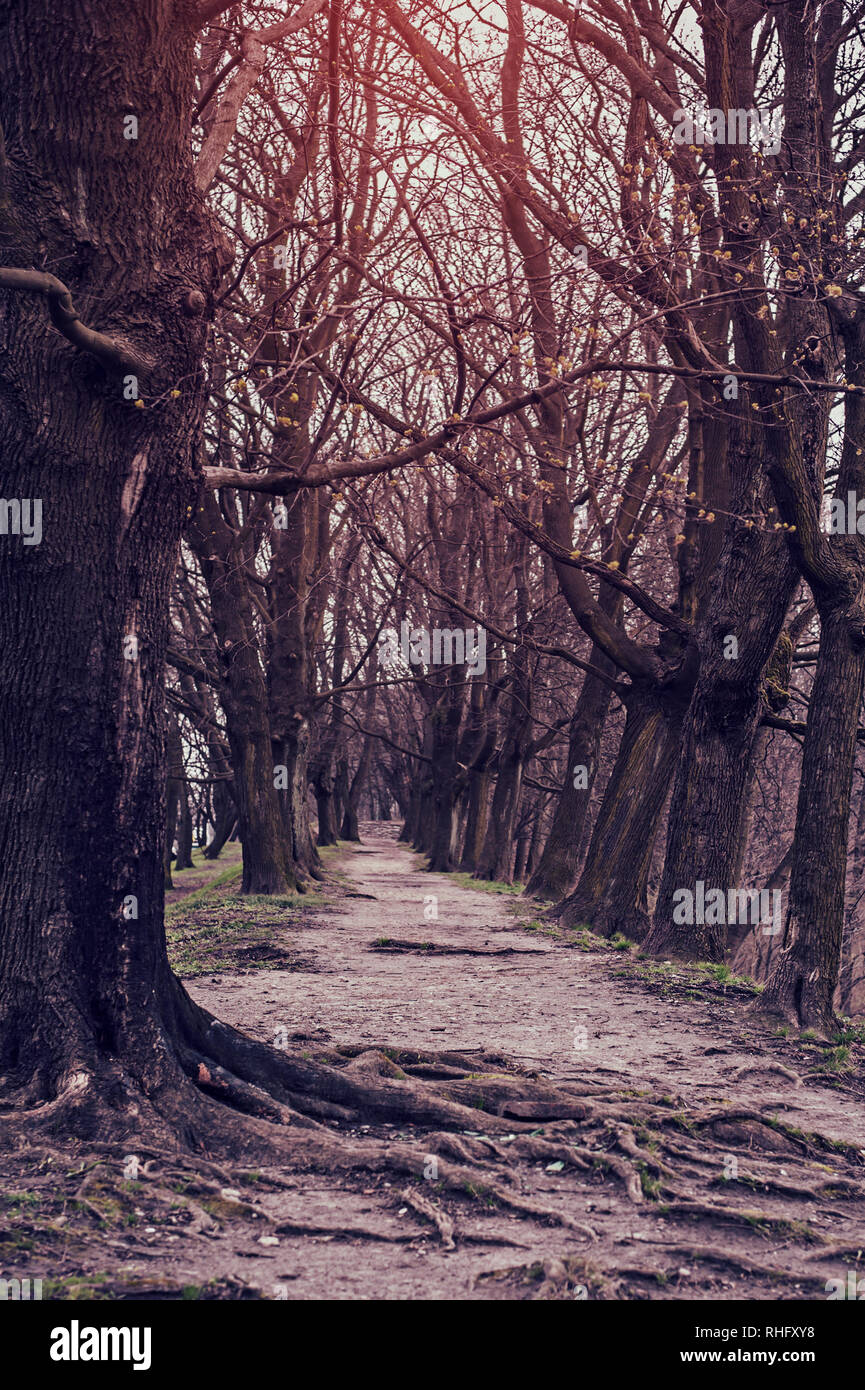 Trodden ground hi-res stock photography and images - Alamy