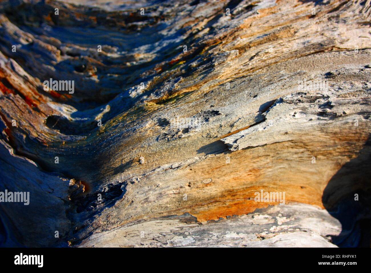 pieces of wood logs at the beach at the sea Stock Photo - Alamy