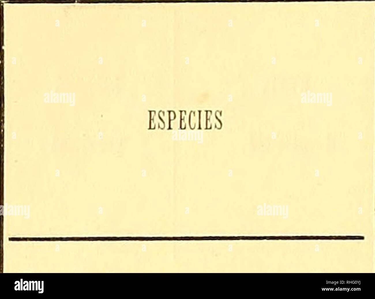 Substriata hi-res stock photography and images - Alamy