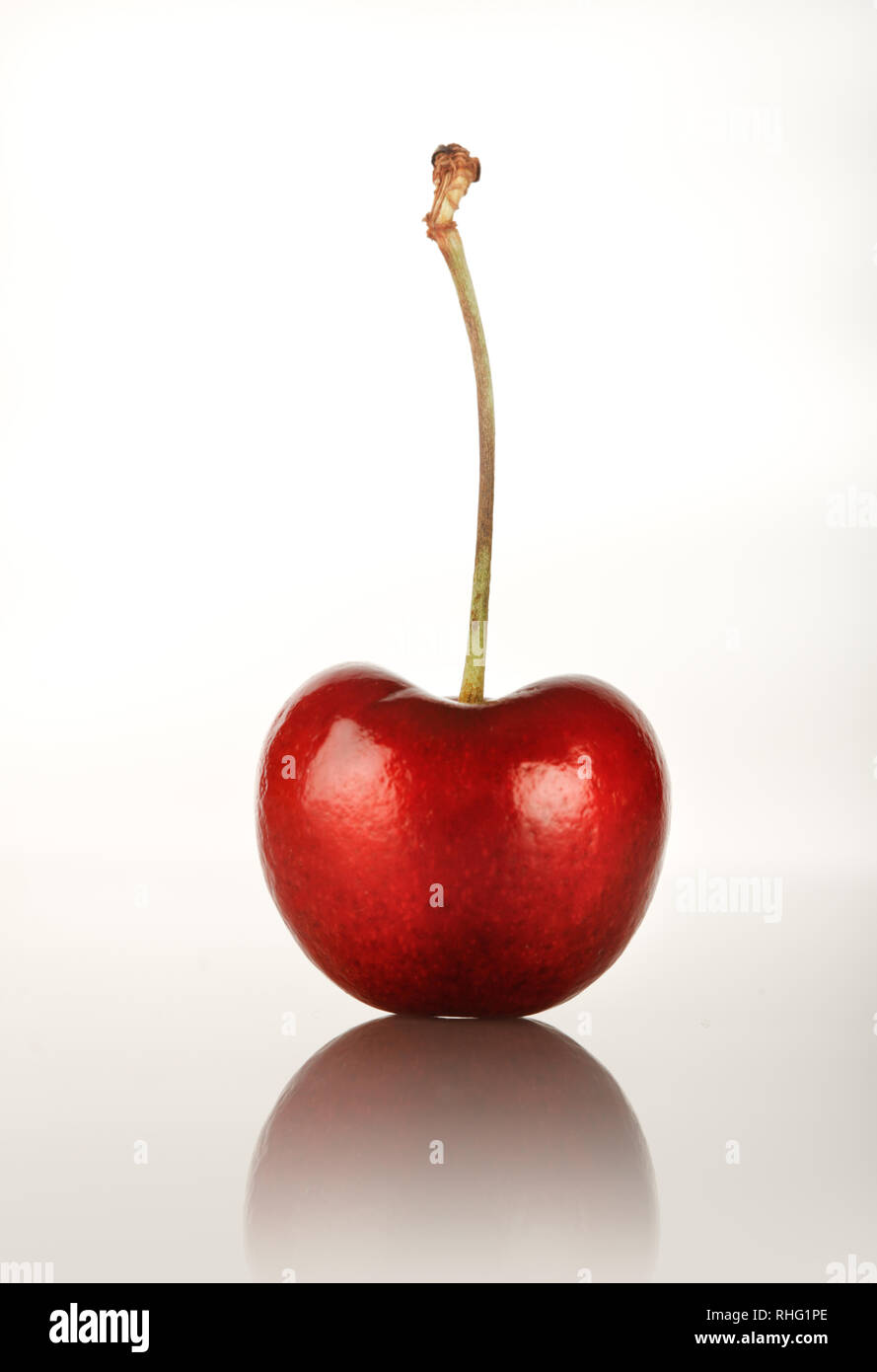single ripe red cherry with them on white reflective background Stock ...