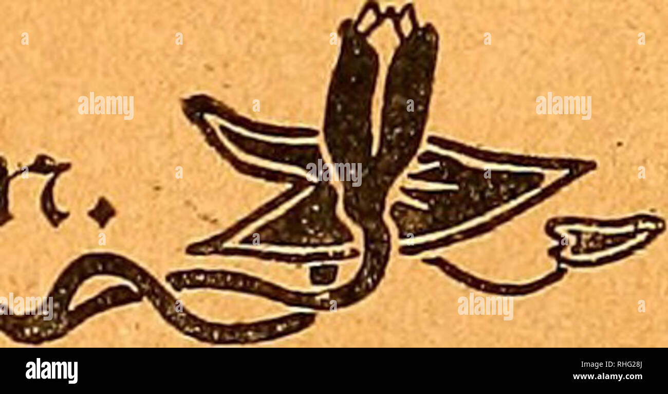 Sinterung hi-res stock photography and images - Alamy