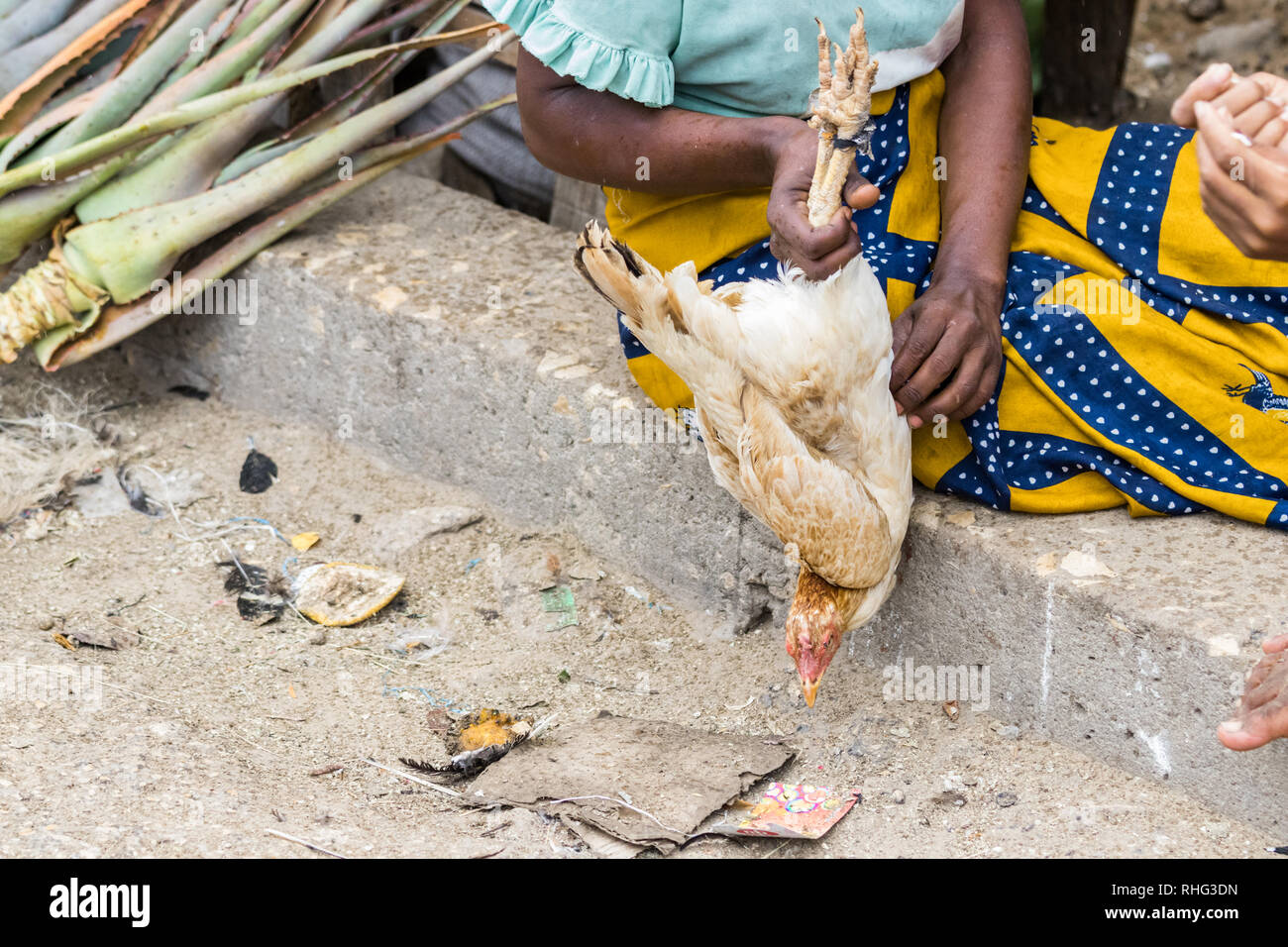 Malagasy woman holding chickens hi-res stock photography and images - Alamy