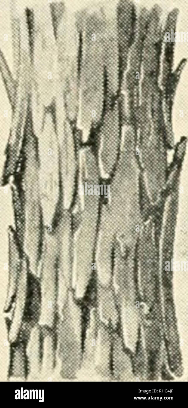 Resin duct hi-res stock photography and images - Alamy