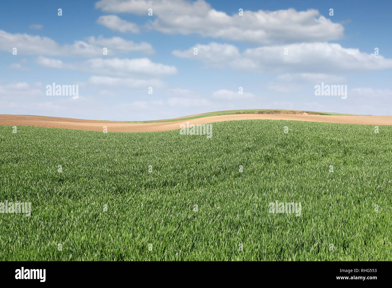 Spring and agriculture hi-res stock photography and images - Alamy