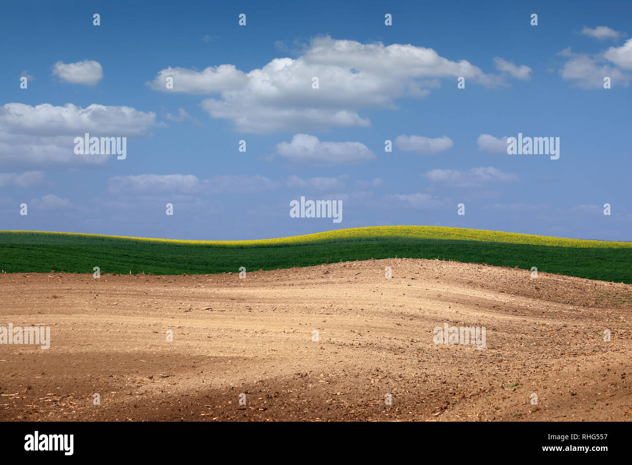 Spring agriculture hi-res stock photography and images - Alamy