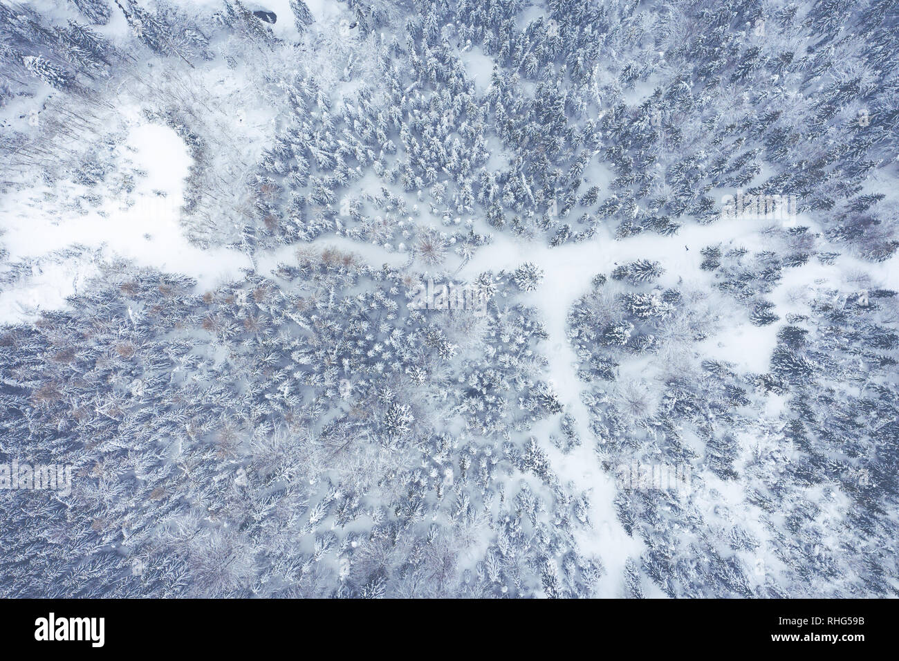 Mountain snow covered pine forest, top down aerial view. Winter ...