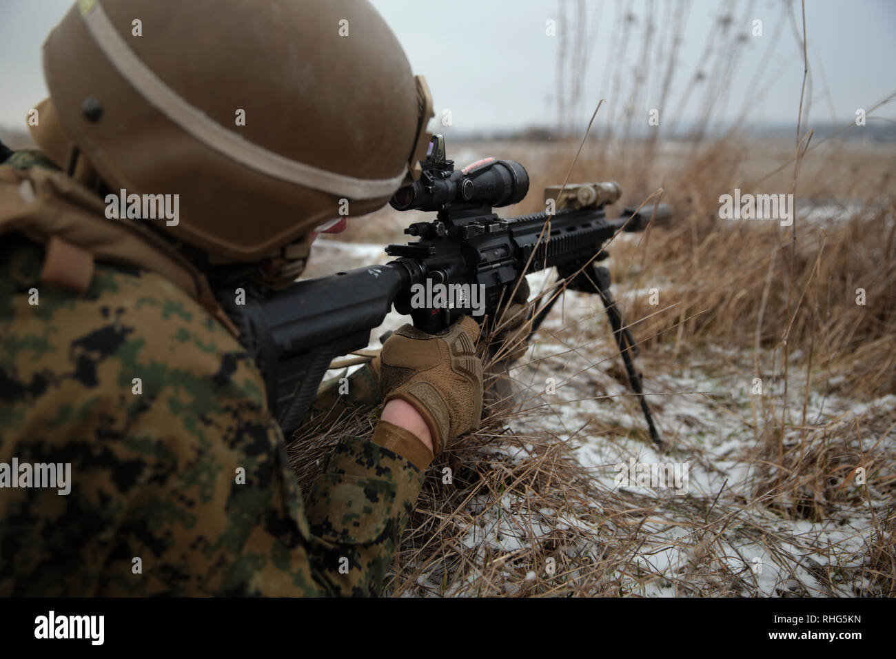 Live fire platoon attack range hi-res stock photography and images - Alamy