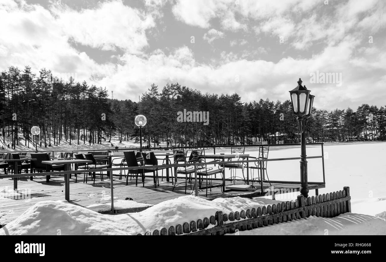 Tree to bar Black and White Stock Photos & Images - Alamy