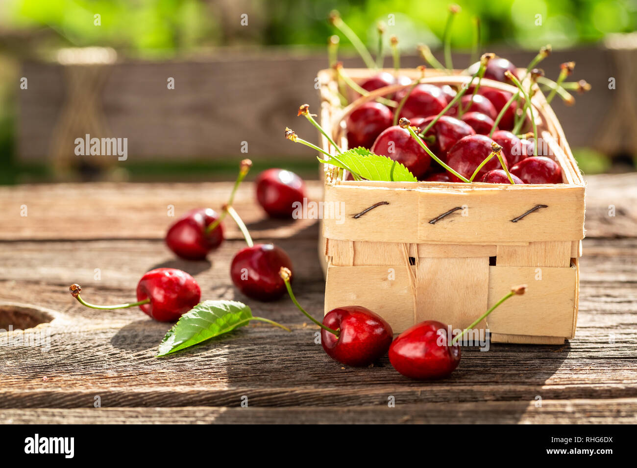 Punnet of cherries hi-res stock photography and images - Alamy