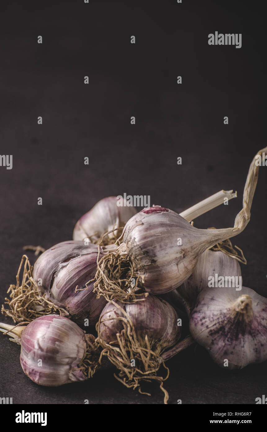 Bio garlic from garden, organic garlic on dark background Stock Photo ...