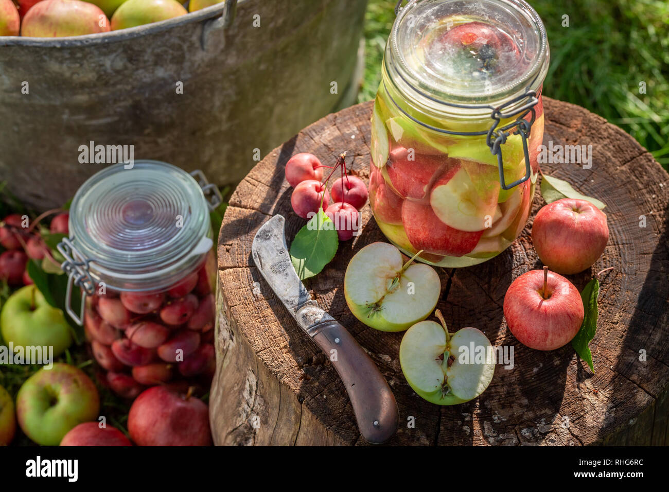 Homemade canned apples in the jar in summer Stock Photo - Alamy