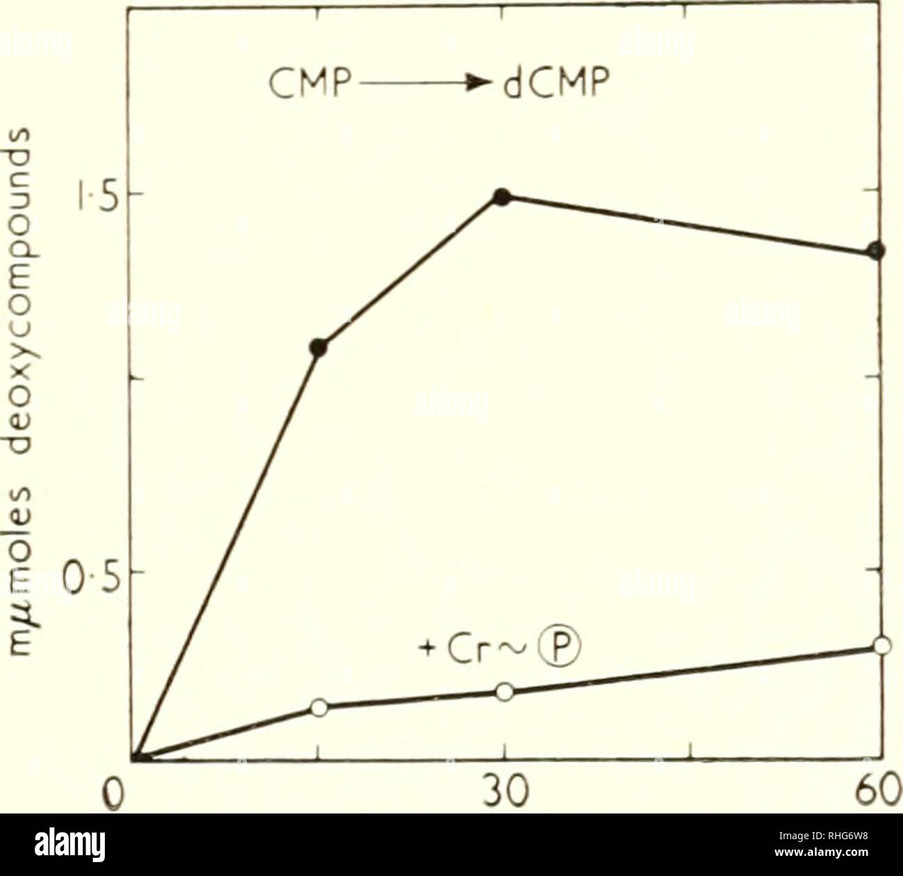 Creatine mono hi-res stock photography and images - Alamy