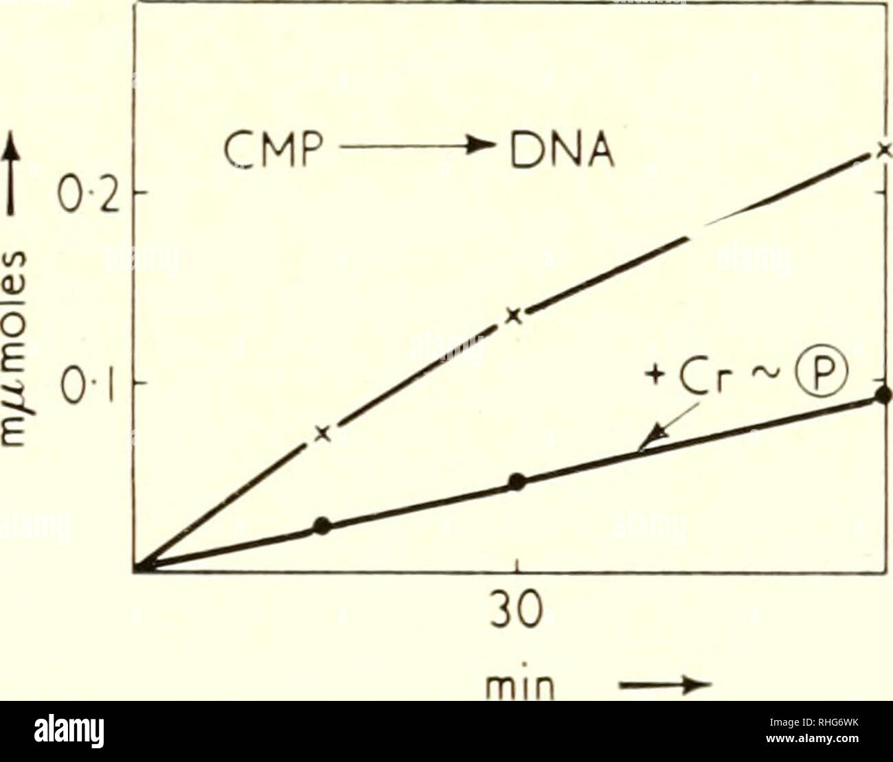. Biological structure and function; proceedings. Biochemistry ...